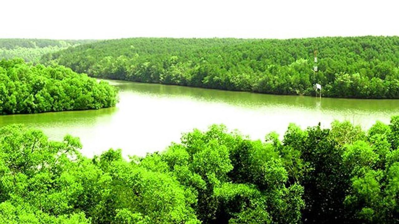 Rừng phòng hộ Cần Giờ sẽ trở thành khu RAMSAR